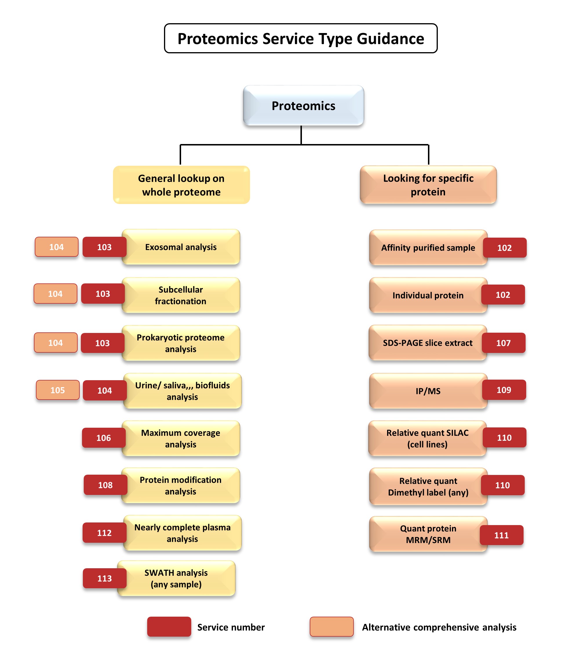 » Proteomics Service Guidance